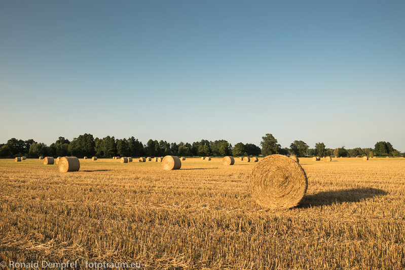 Ernte.jpg - Ronald Dempfel